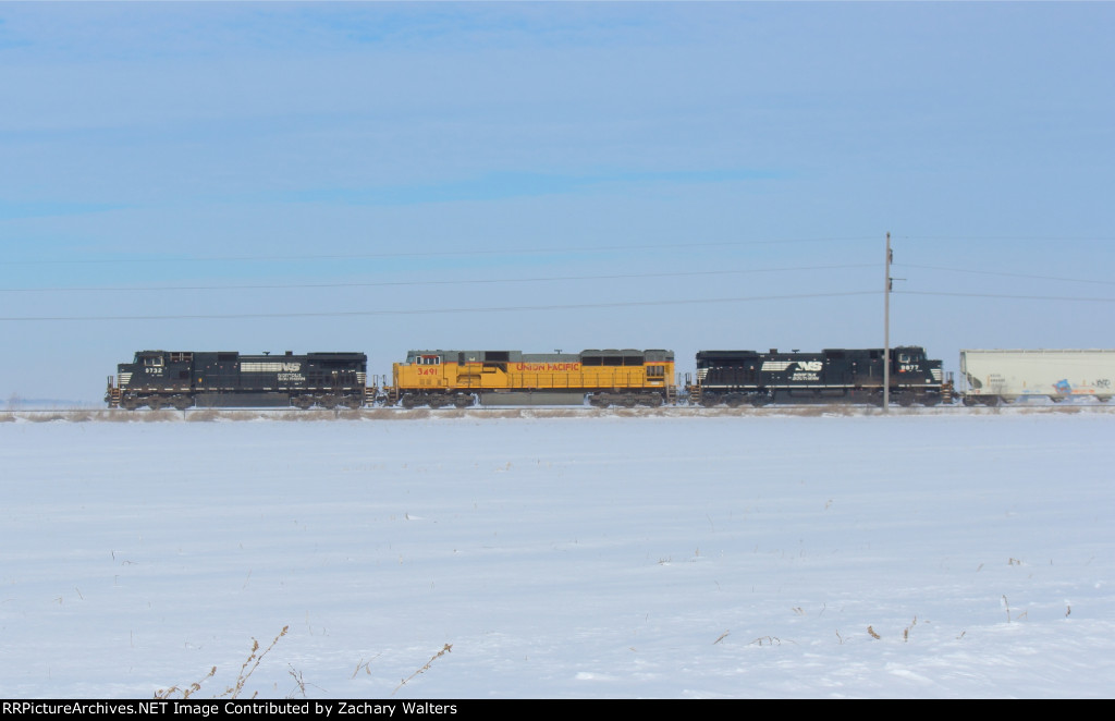 NS 9732 UP 3491 NS 9877